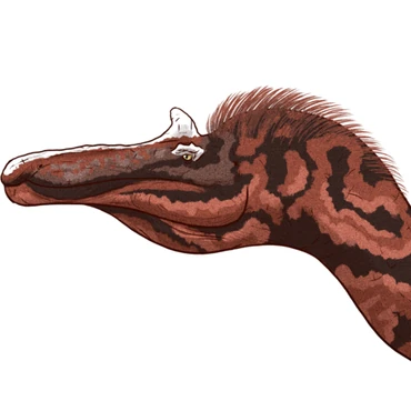 Discuss Everything About Dinopedia | Fandom