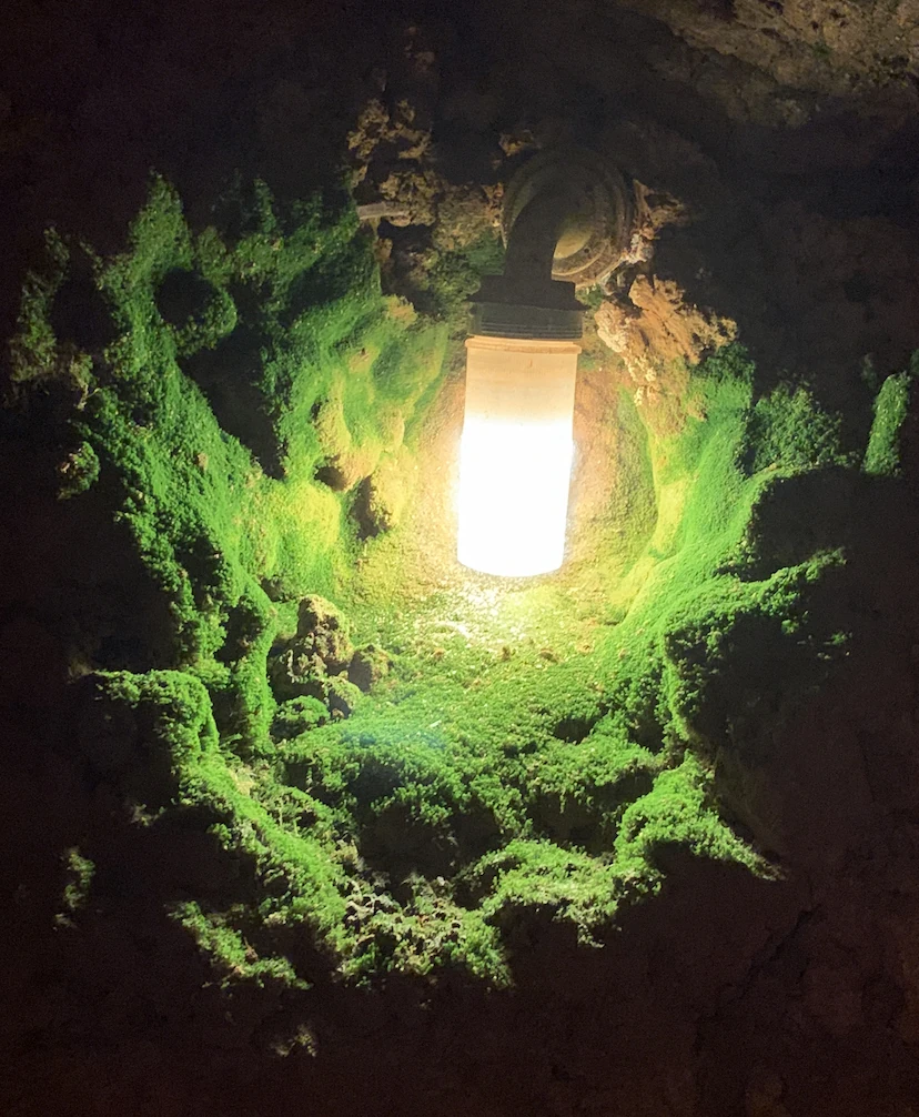 my back hurts. body horror warning | Fandom