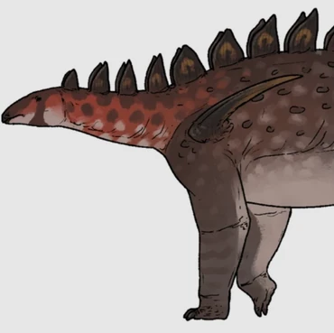 Discuss Everything About Dinopedia | Fandom