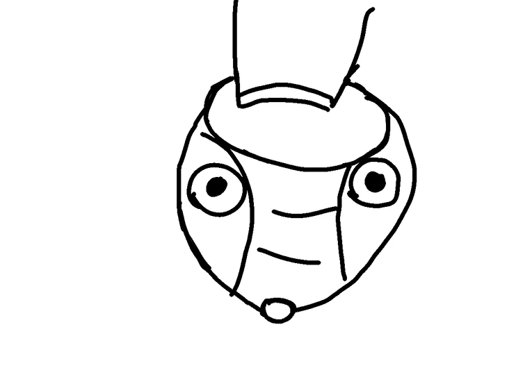 front facing | Fandom