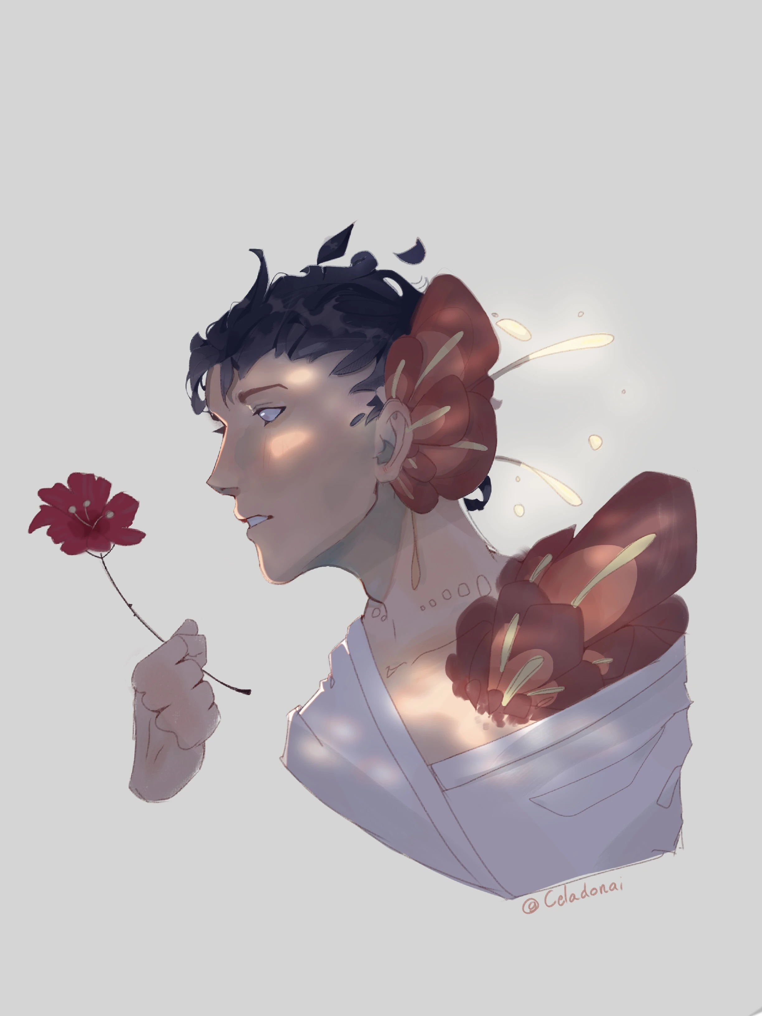 HUMANIZED HISO | Fandom