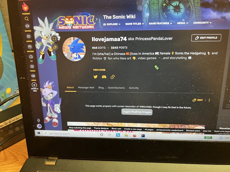 My custom Jet the Hawk cursor for my use of this wiki! | Fandom