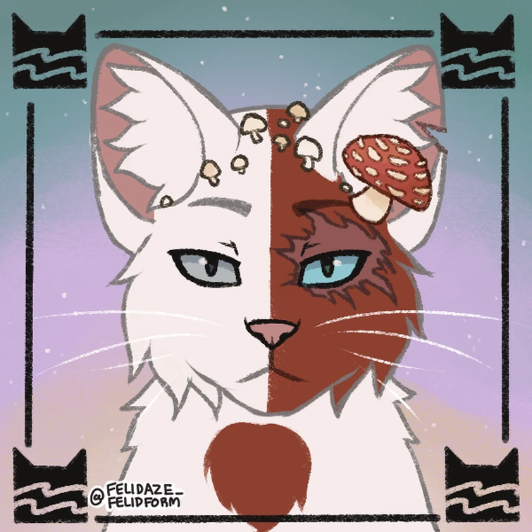 Cat Todoroki and Kaminari | Fandom