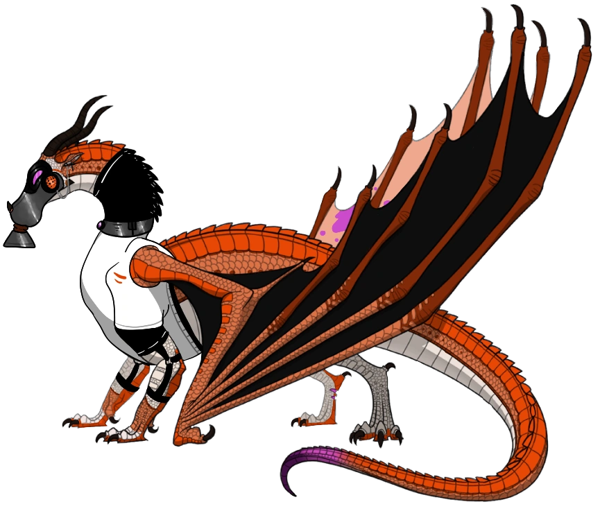 Finished Basefill! | Fandom