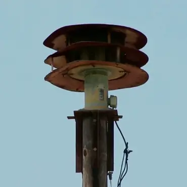 Monthly Featured Siren Vote #1 | Fandom