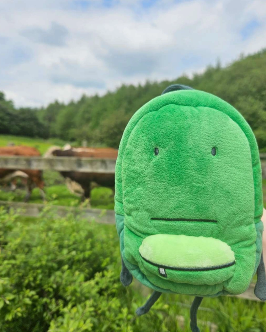 He likes the cows... | Fandom