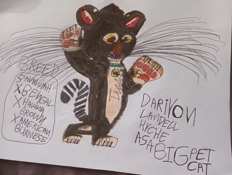 Discuss Everything About Madagascar Wiki | Fandom