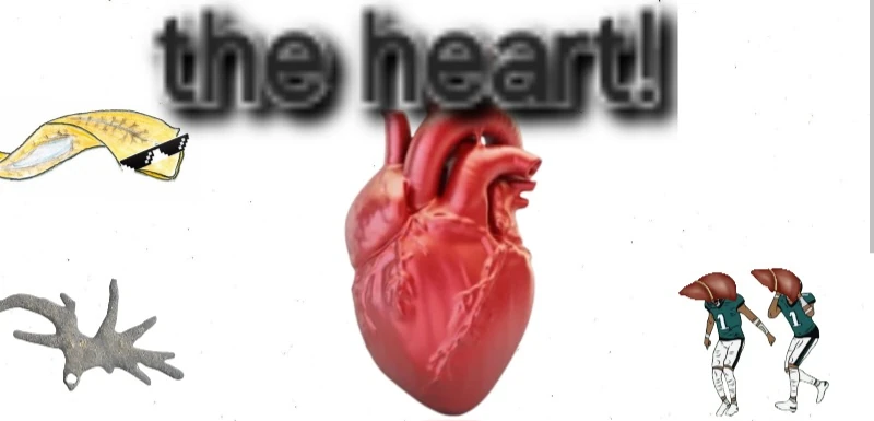 The heart of the wiki (off topic thread thingy) | Fandom