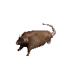 Rat | Da Amazing Bunker Simulator Wiki | Fandom