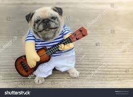 Category:DA BOIS OFFICIAL CREATIONS | DA BOIS Wiki | Fandom