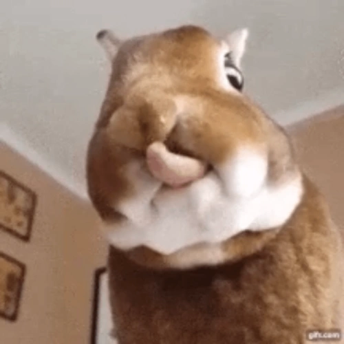 Free Smiley Dealer | DA ZONE CANON Wiki | Fandom