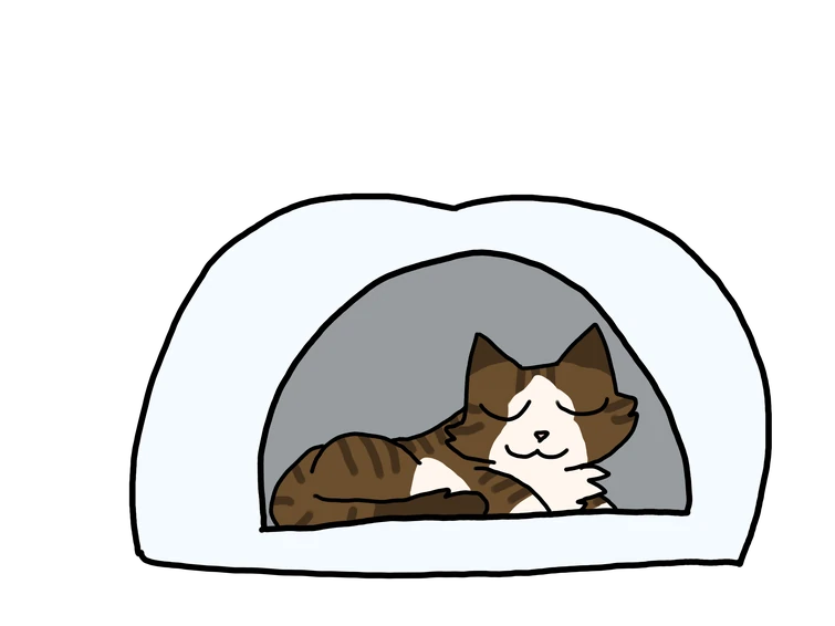 Random cat drawing contest | Fandom