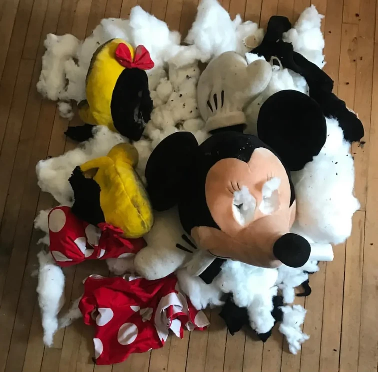 Discuss Everything About Cursed Images Inspiration Wiki | Fandom