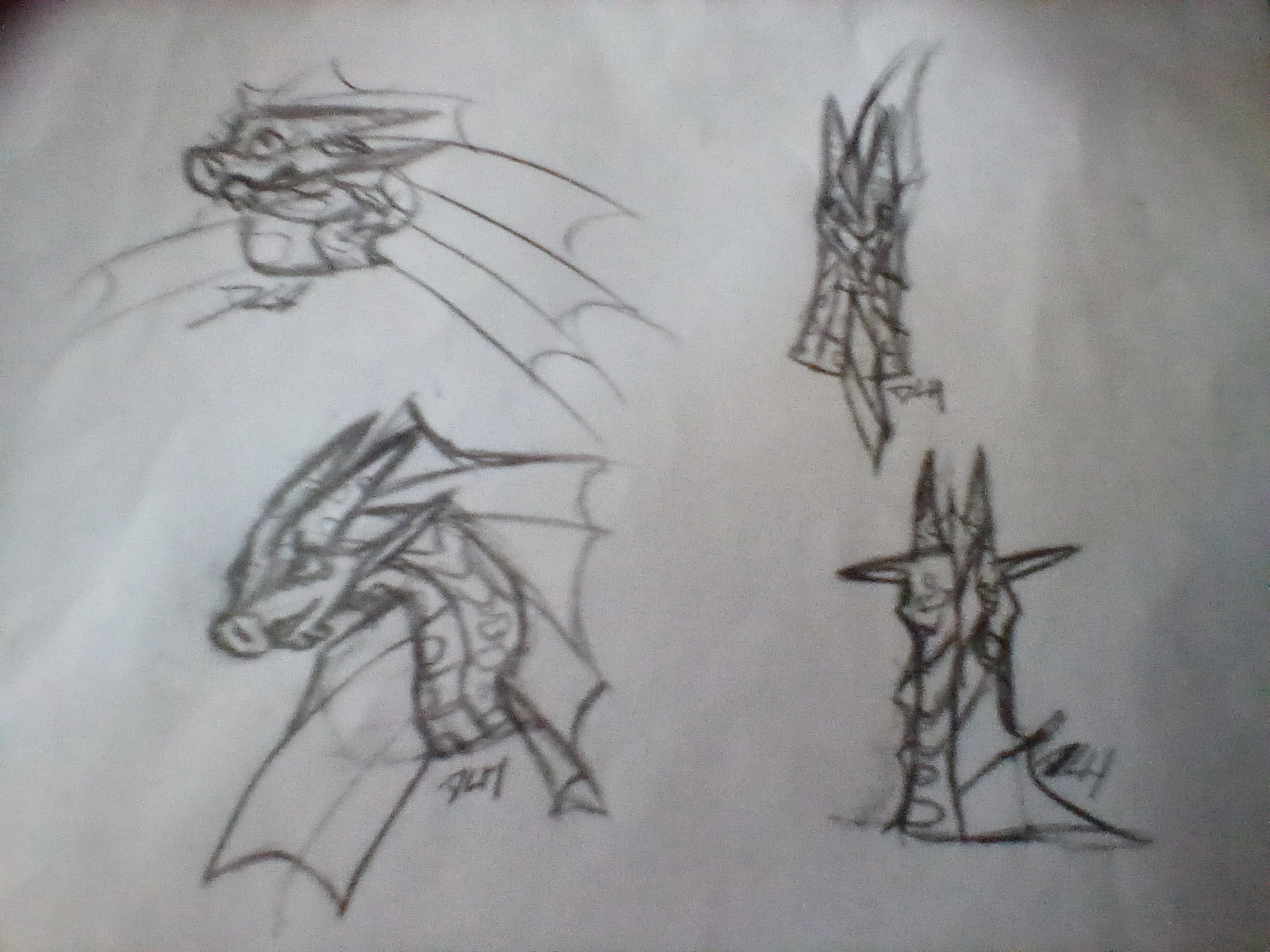 I can sorta draw a seawing head nowwwww | Fandom