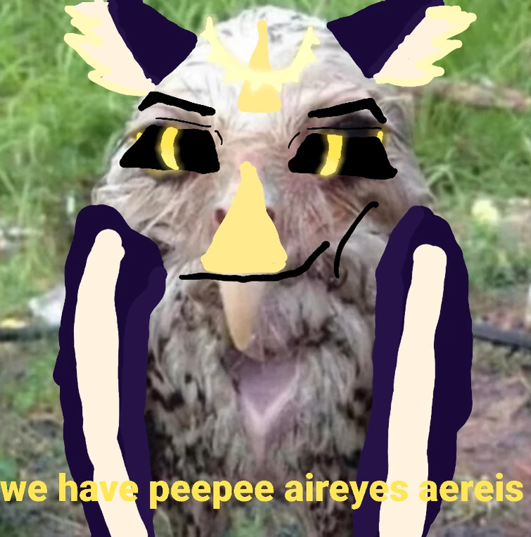 send me cursed images | Fandom