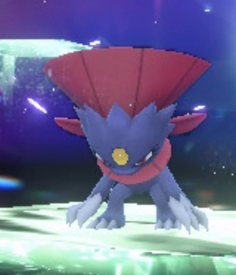 Weavile tomorrow | Fandom