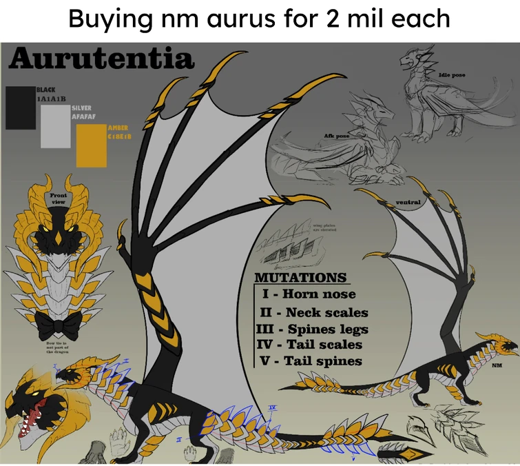 Discuss Everything About Dragon Adventures Wiki | Fandom