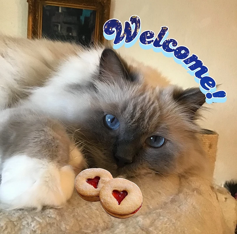 Shiny new Discussion Moderator, incoming! | Fandom