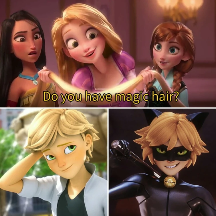 Adrien is A Princess! | Fandom