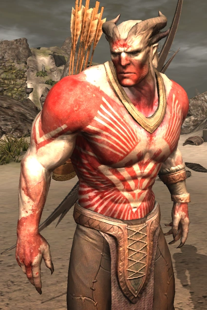 The Ashaad | Dragon Age II: Rising Tide Wiki | Fandom