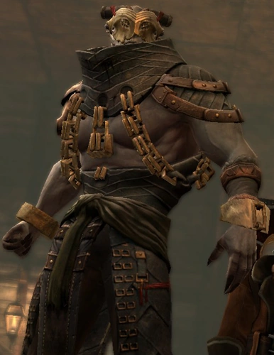 Ketojan | Dragon Age II: Rising Tide Wiki | Fandom