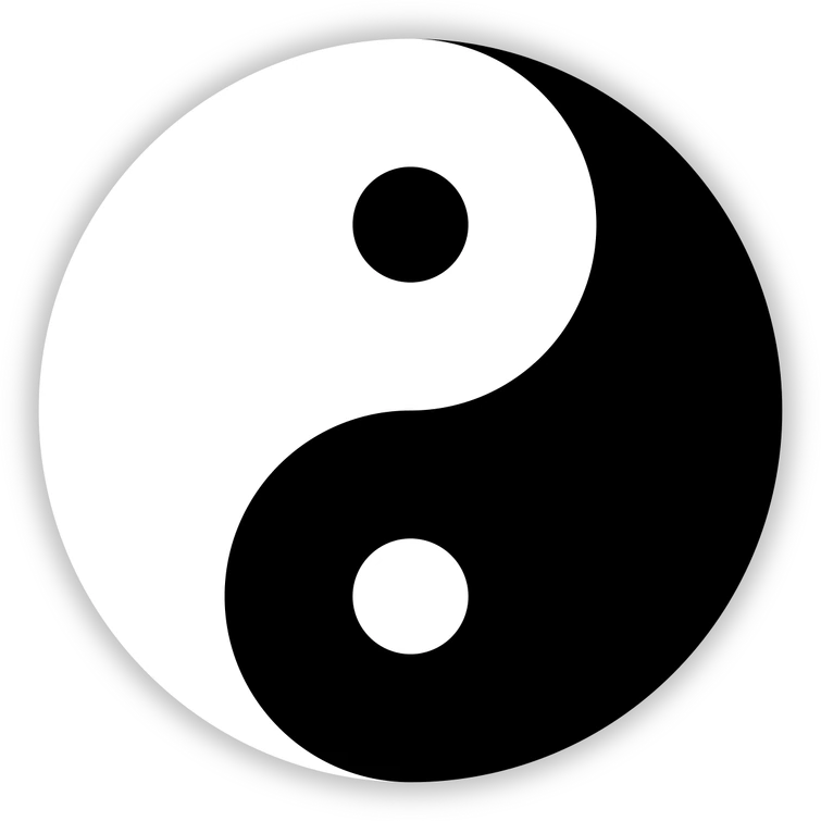 SA2’s logo could’ve been inspired by Yin and Yang | Fandom