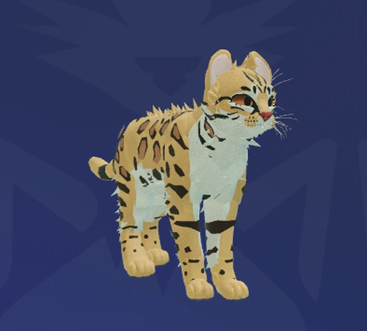 ocelot and cheetah morphs | Fandom