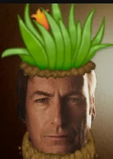 Better call sol | Fandom