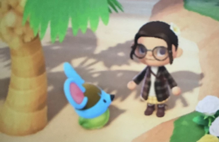 Discuss Everything About Animal Crossing Wiki | Fandom