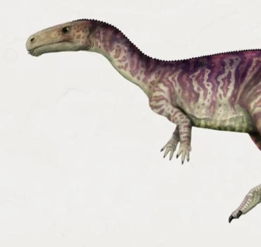 Discuss Everything About Dinopedia | Fandom