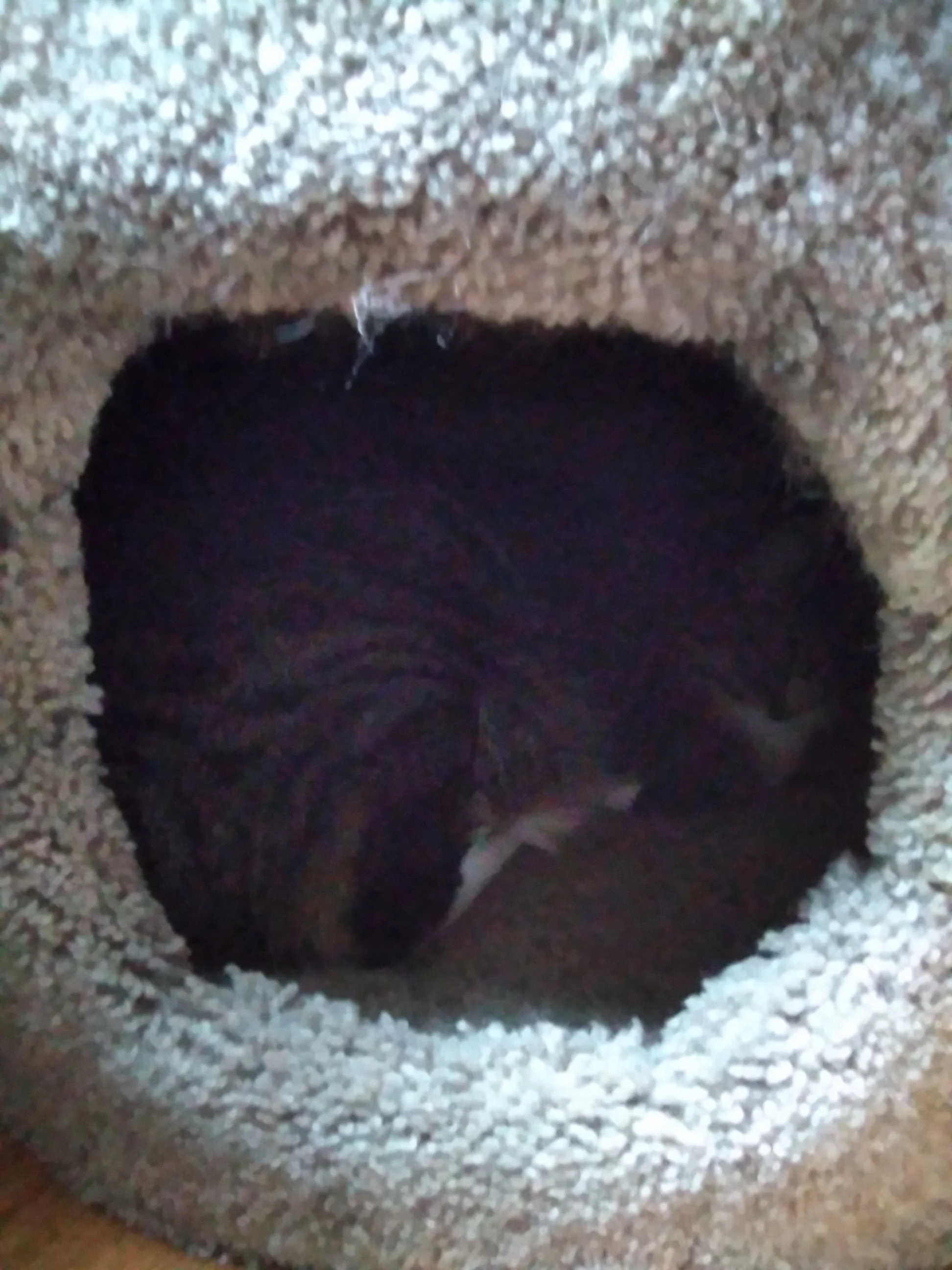 Brookfield sleeping | Fandom