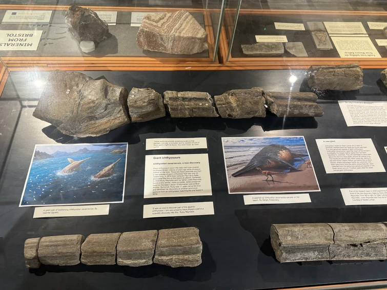 Meeting Icthyotitan severnensis | Fandom