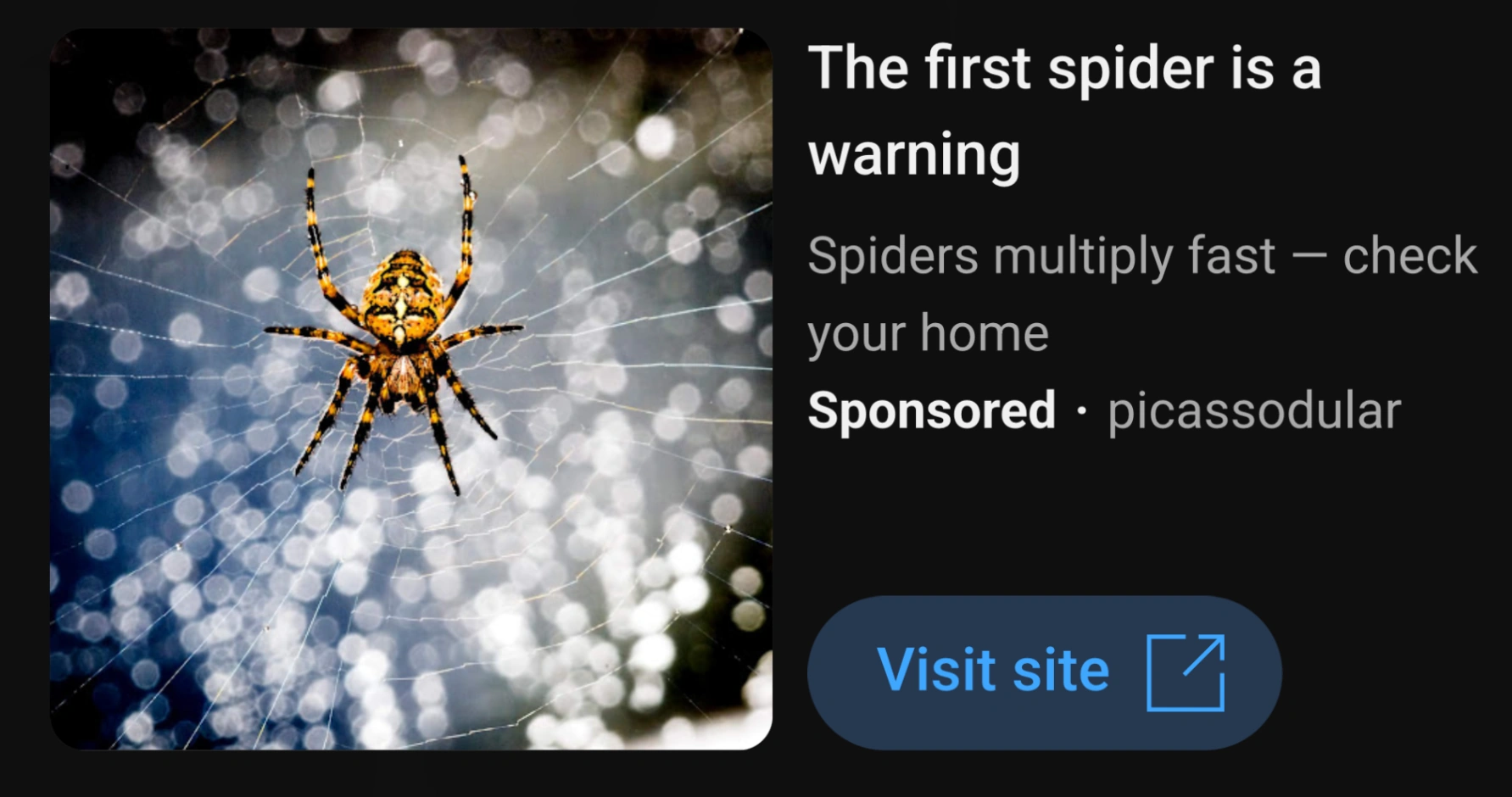 As if the spiders are gonna do shit | Fandom
