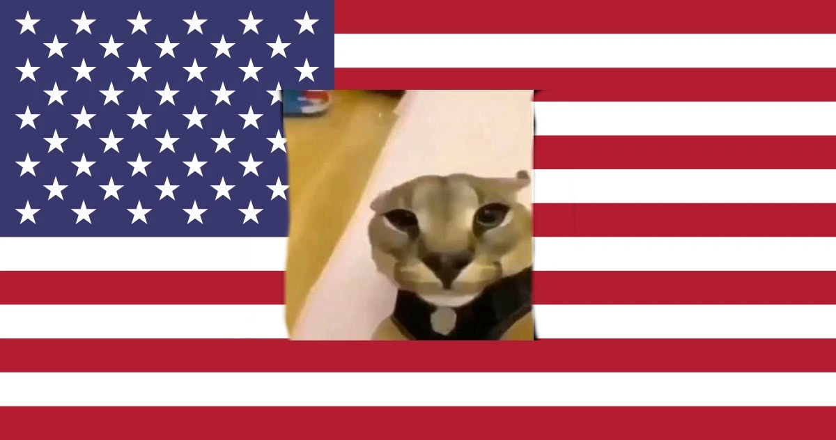 F l o p p a | Fandom