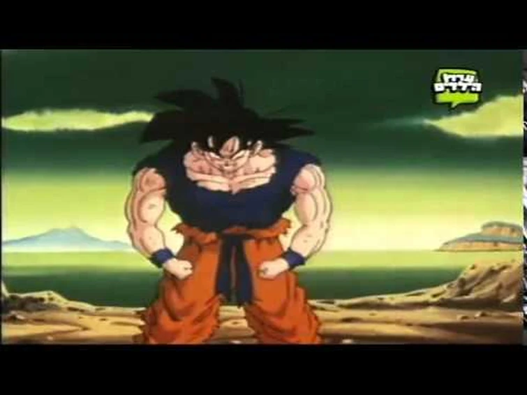 The dragon ball z hebrew dub | Fandom