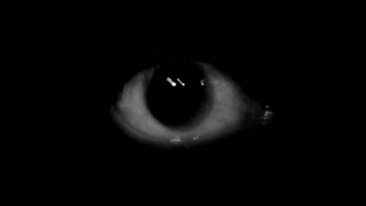 pumpkinmen knew who made the bob eyes gif | Fandom