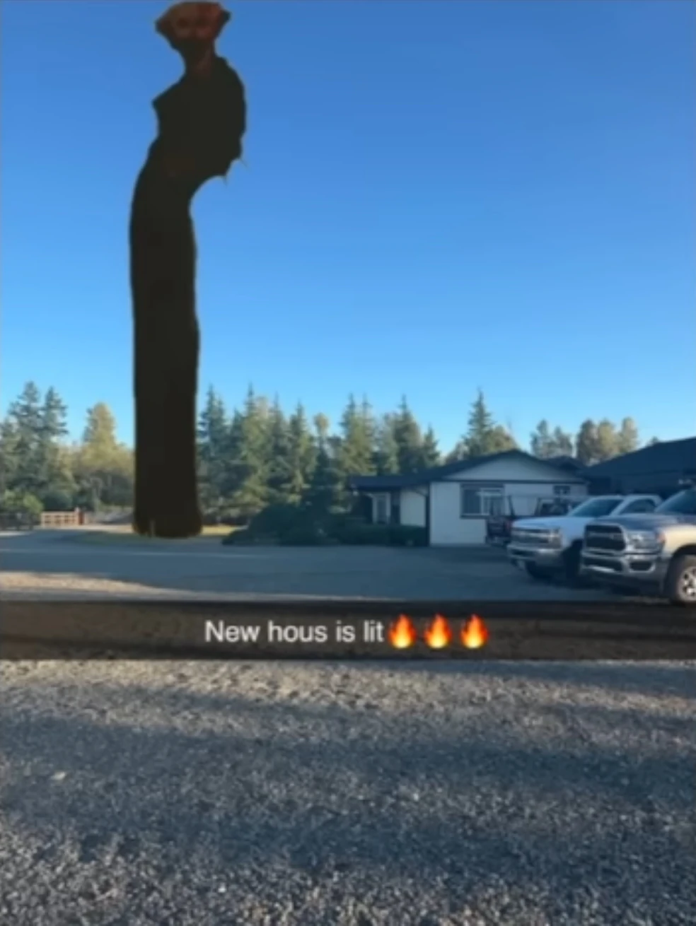 How’s the house chat | Fandom