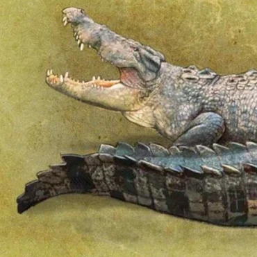 Discuss Everything About Dinopedia | Fandom