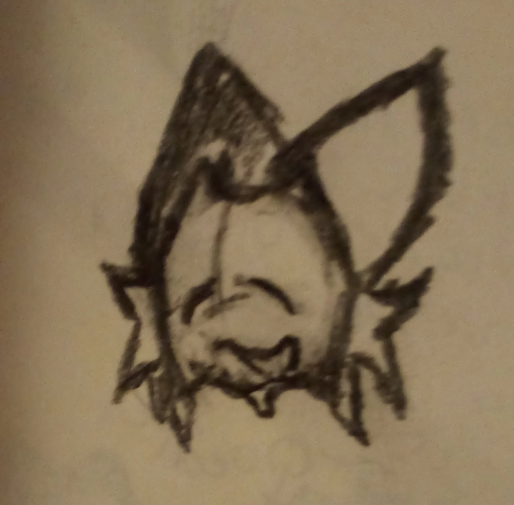 Live CC reaction | Fandom