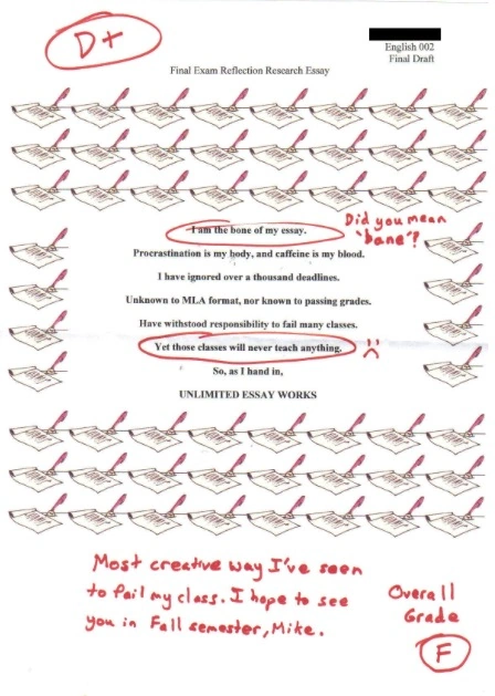 Unlimited Essay Works | Fandom