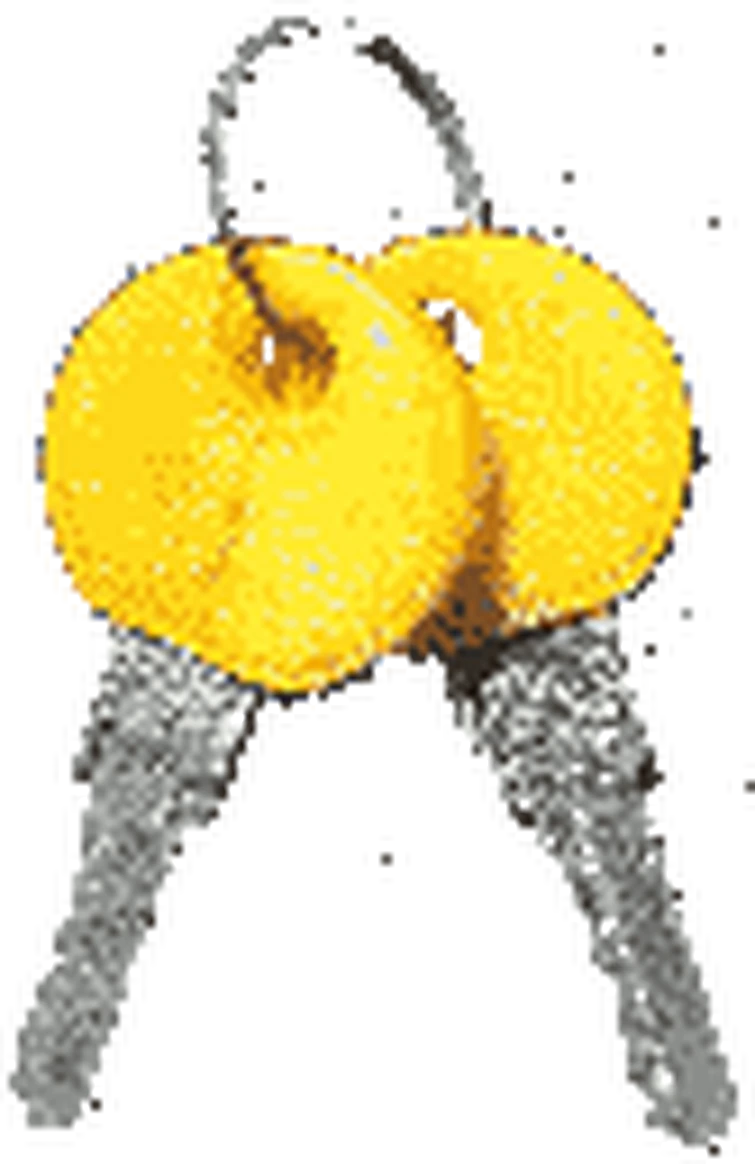 beautiful keys | Fandom