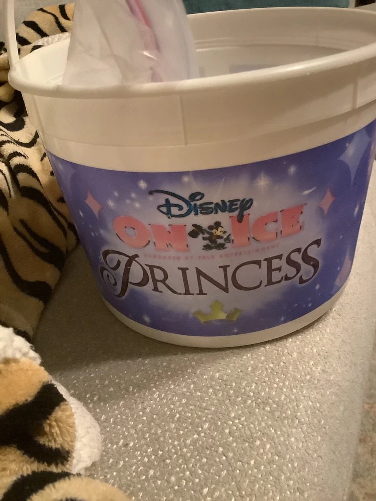 My Disney princess bucket | Fandom