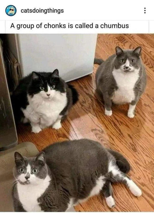 I am very sad | Fandom