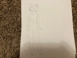FURSONA! | Fandom
