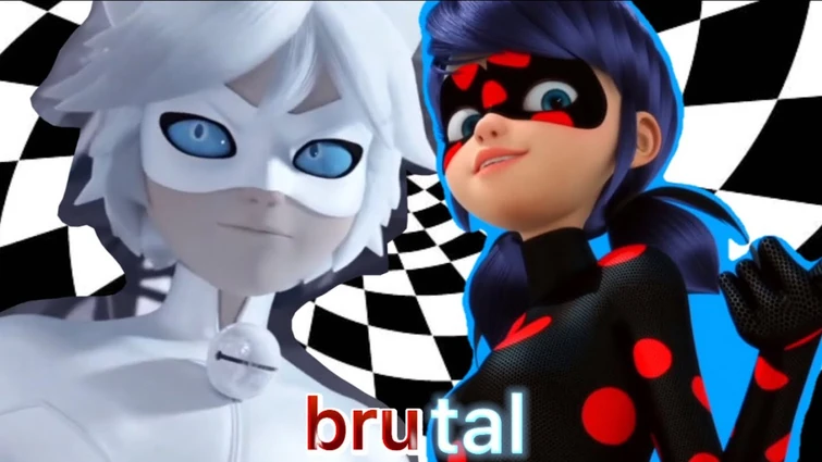 AMVs 🐞🐱🎞 | Fandom