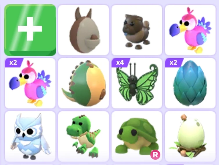 LF FR turtle | Fandom