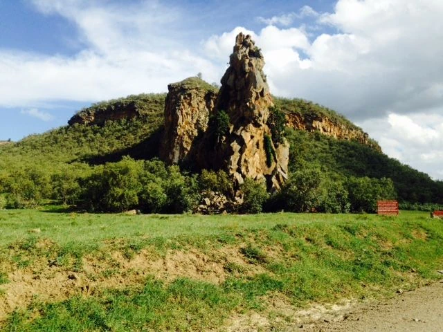 Behold the real pride rock | Fandom