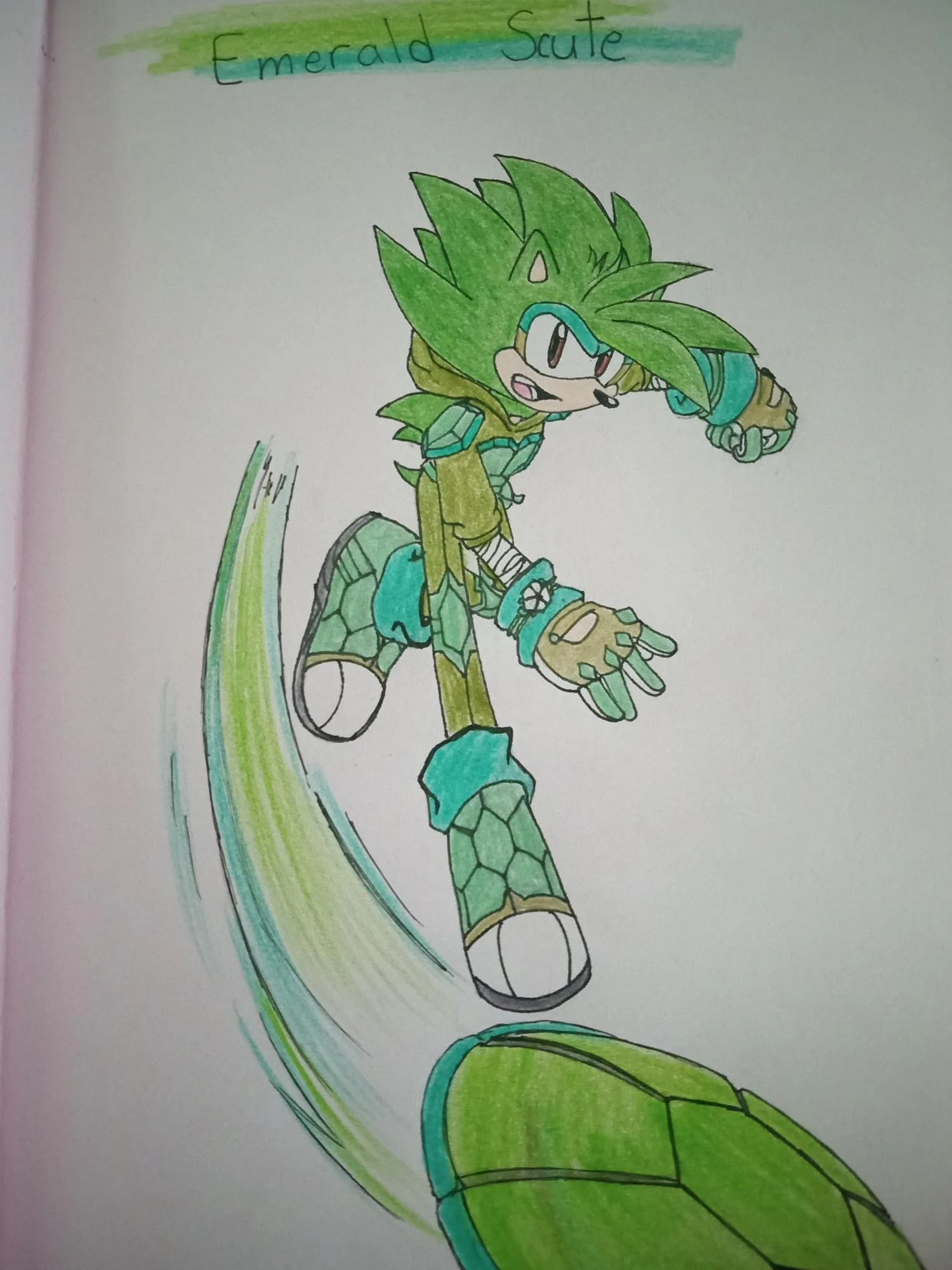 Sonic x Miraculous! | Fandom