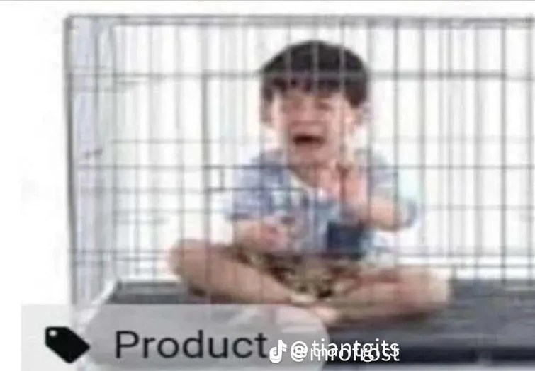 should PLATINUM FIVE make brm5 merch? | Fandom