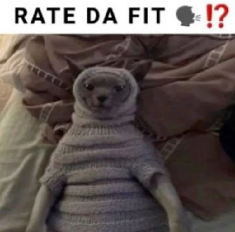 ARLIGHT FINE GODDAMMIT I'M BISEXUAL | Fandom